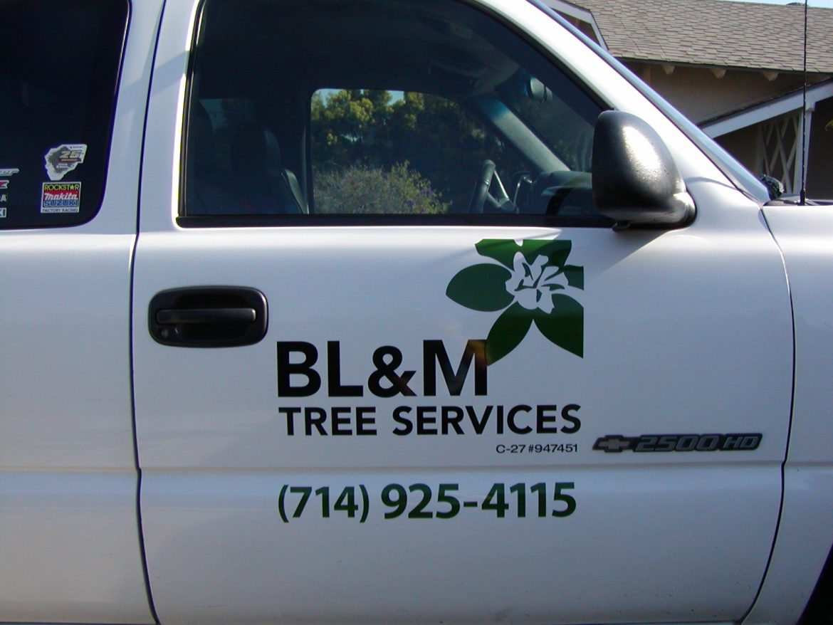 Vehicle Lettering – Shoreline Sign Graphics